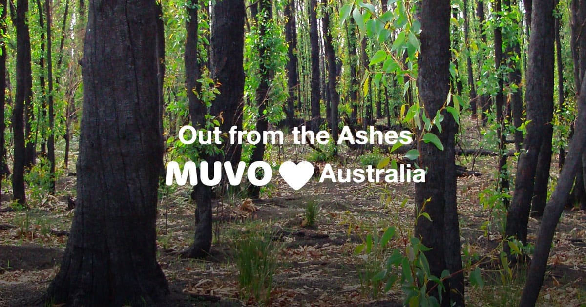 Out From The Ashes | Australian Bushfires | MUVO® Blog